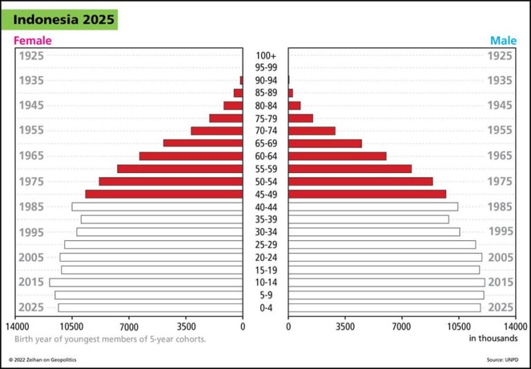 Demographics Part 9: The Advanced Developing World - Zeihan on Geopolitics